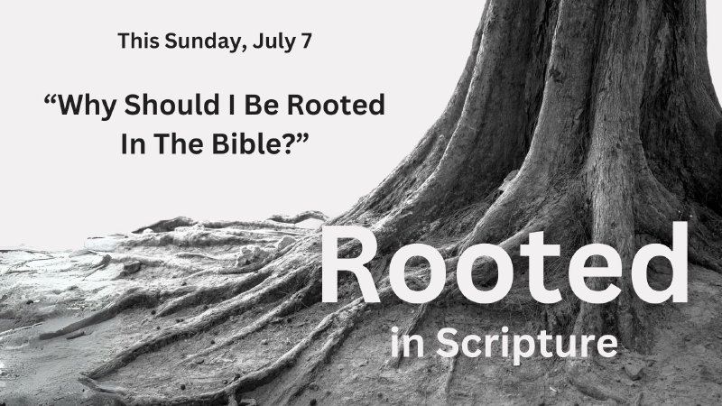 Sunday Service | Meadow Spring Church