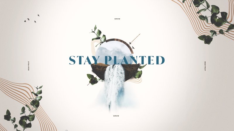 Stay Planted | The Worship Center - TX
