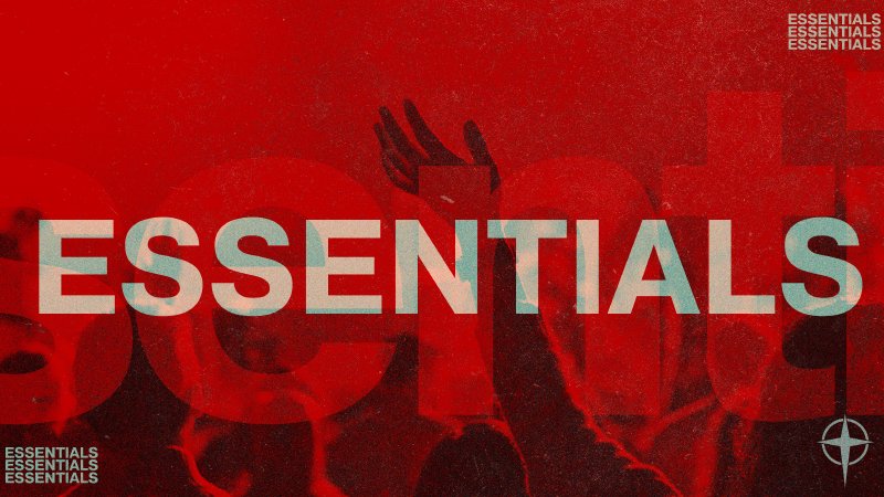 Essential Connections August 25, 2024 | nbcstpete