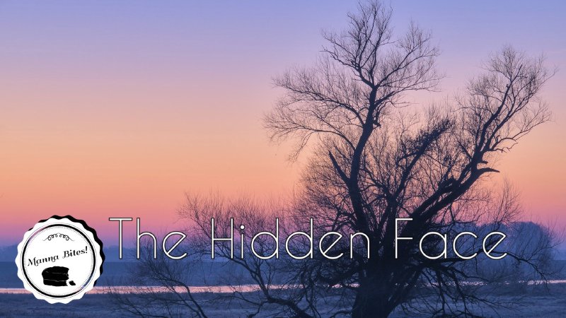 Manna Bites! || The Hidden Face | Manna From Heaven & Remnant of Truth