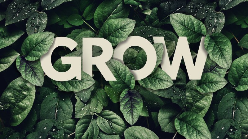 Week 1: Made to Grow | Foundation Church