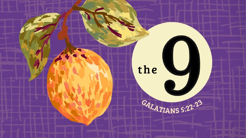 The 9: Week 1 | The Village Baptist Church
