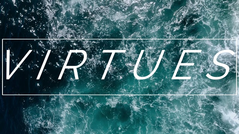 The Virtue of Perseverance | VineyardNY Church