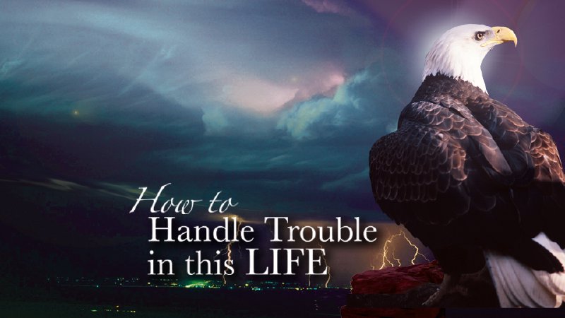 How To Handle Trouble In This Life | TotalJDM