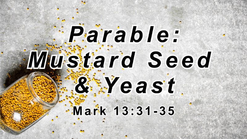 Parable: Mustard Seed & Yeast | ParkviewNaz