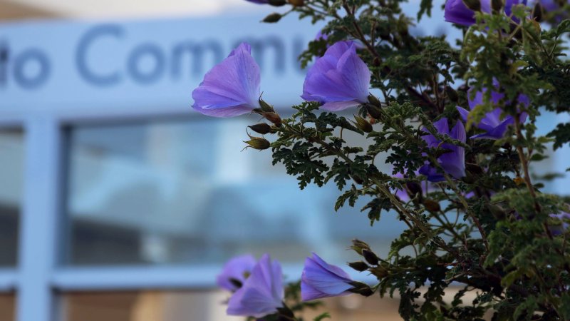 1.4.26 8 am Worship | Community Lutheran Church