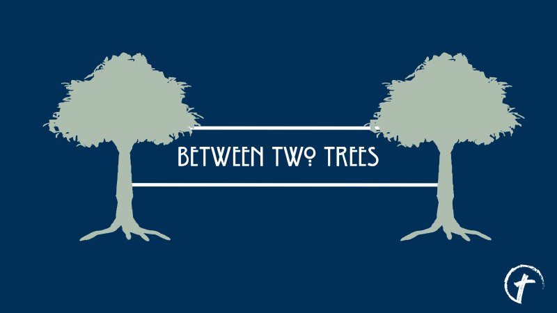 Between Two Trees: Crucifixion | Westbury Baptist Church