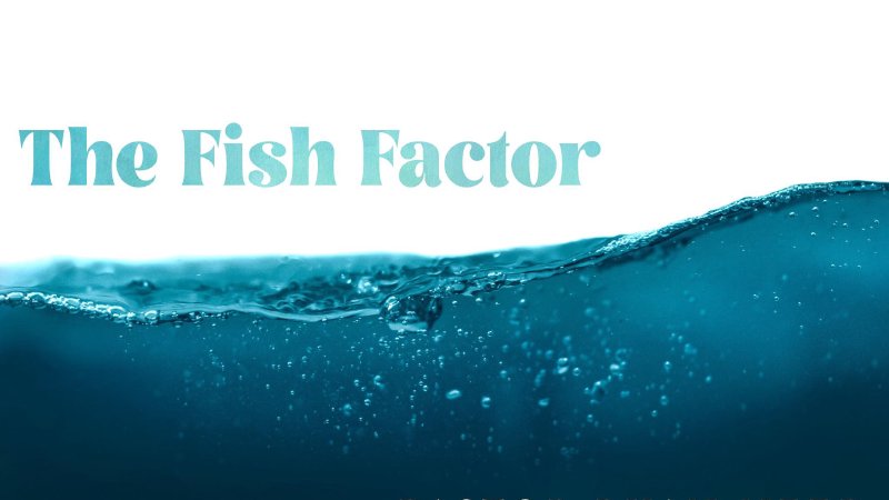 The Fish Factor | Gateway Pentecostal