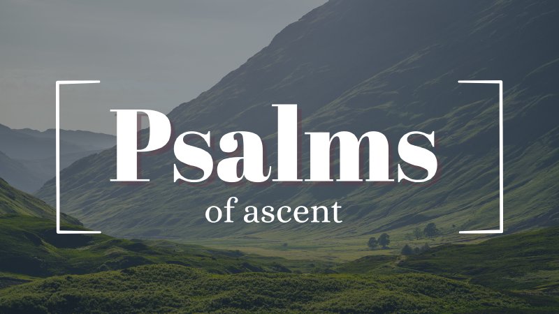 A Prayer for Peace | Christ Community Gainesville