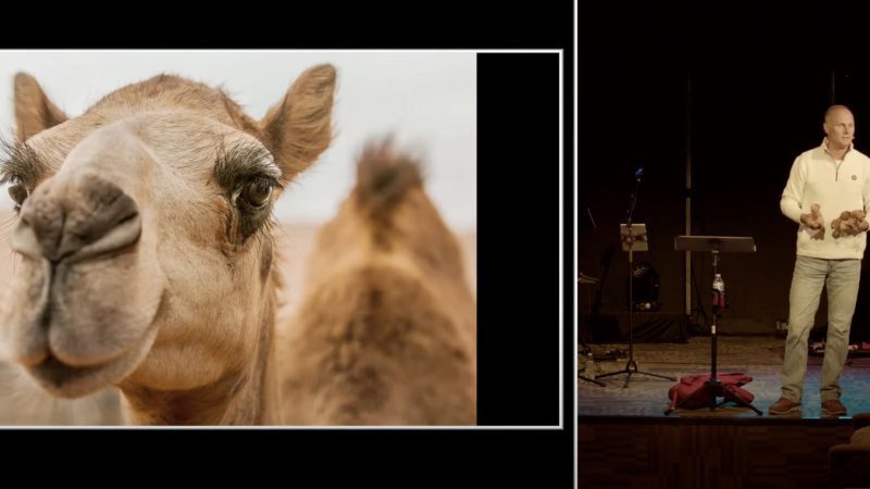 Life Lessons From The Camel | LIFEchurch360