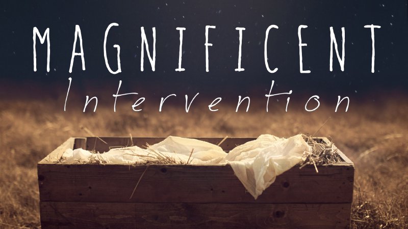 A Purpose Intervention | Christ Church - NC