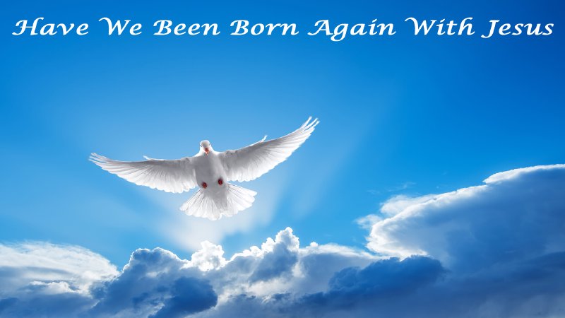 Have We Been Born Again With Jesus | Friendship Community Church