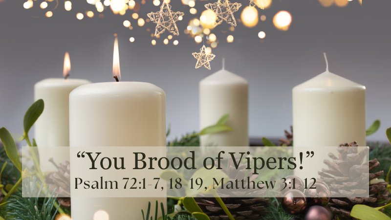 “You Brood of Vipers!” - Traditional Worship Service | First UMC Fox Hill