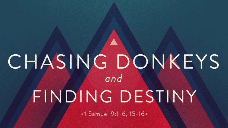 Chasing Donkeys and Finding Destiny | North Cleveland Church of God