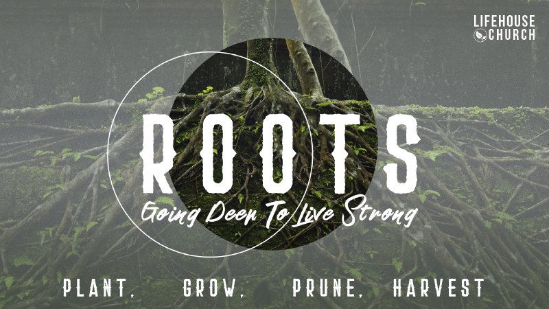 Roots: Harvest | Lifehouse Church