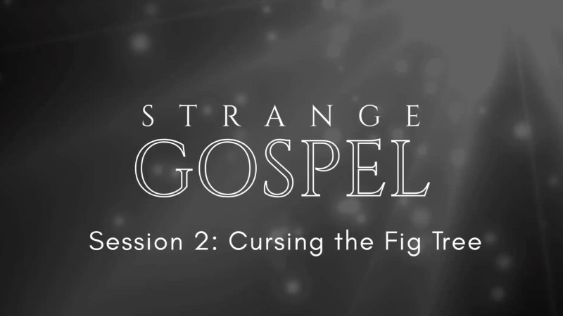 Strange Gospels: Session 2 - Cursing the Fig Tree | St. Luke Lutheran ...