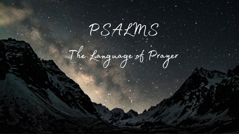 Psalms: The Language of Prayer (Lament) | The Outpost Church