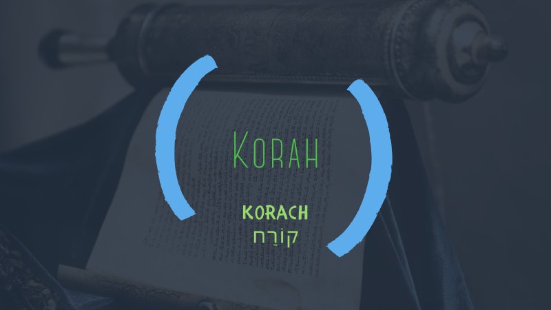 Korach - קוֹרַח | Netser Of Hope