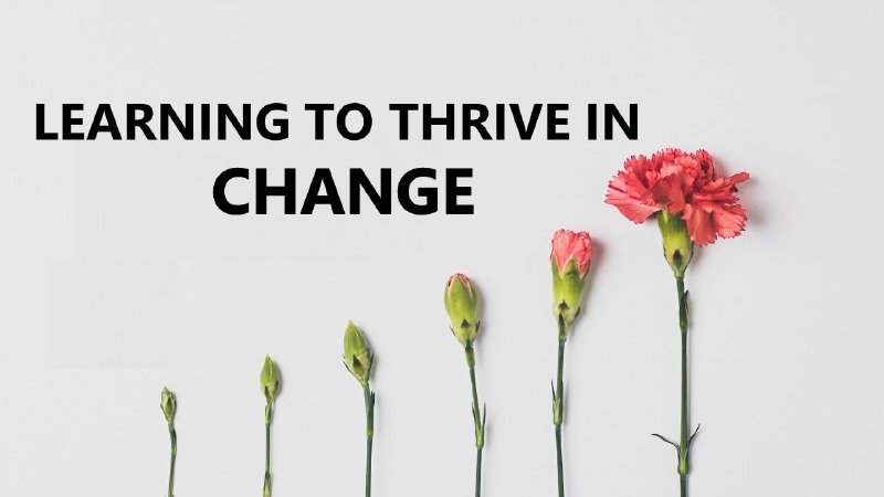 Learning to Thrive in Change - Part 1 | Living Springs