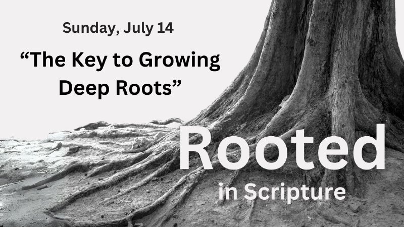 Sunday Service | Meadow Spring Church