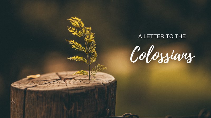 (16) Christ In You | Cornerstone Haskell