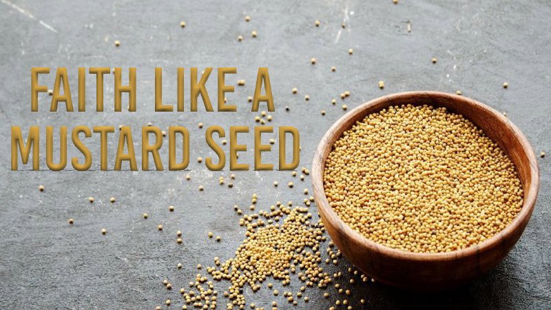 Faith Like a Mustard Seed | Church Unlimited in Christ | Mbombela ...
