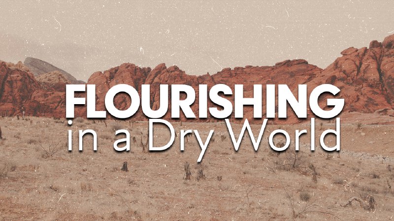 Flourishing in a Dry World | Rogers First Assembly