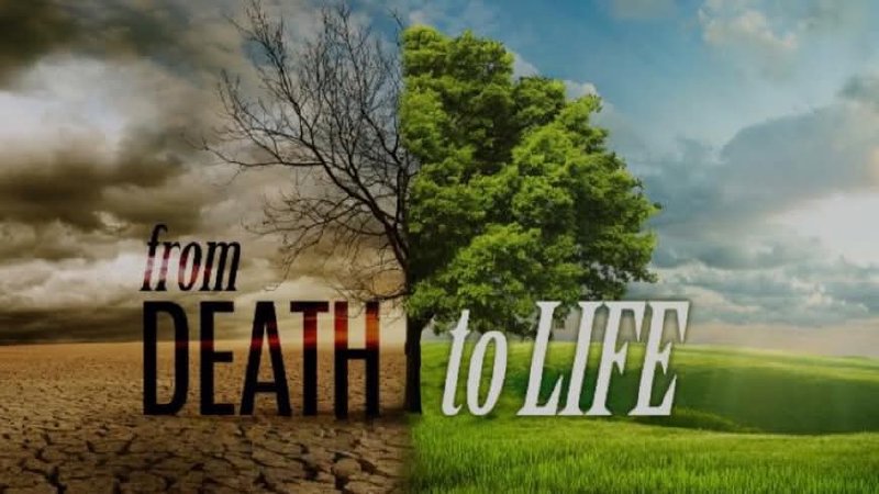 The Resurrection Promise (Easter 2025) | Fruitland Baptist Church