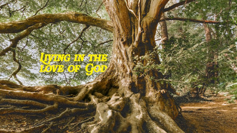 What Love Am I Living In? | RockPoint Church