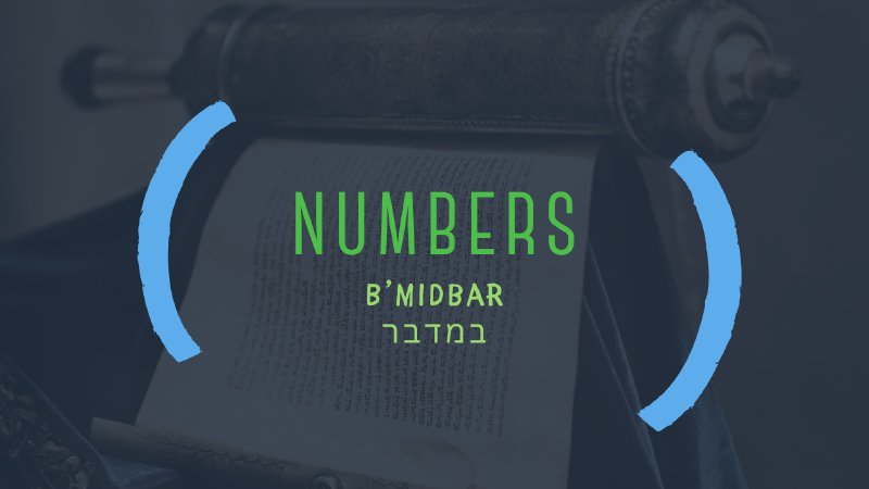 Numbers | Netser Of Hope