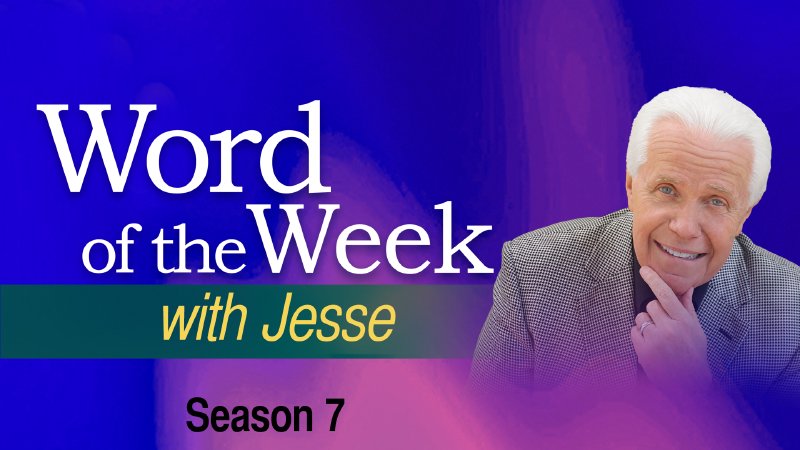 Word of the Week - Season 7 | TotalJDM