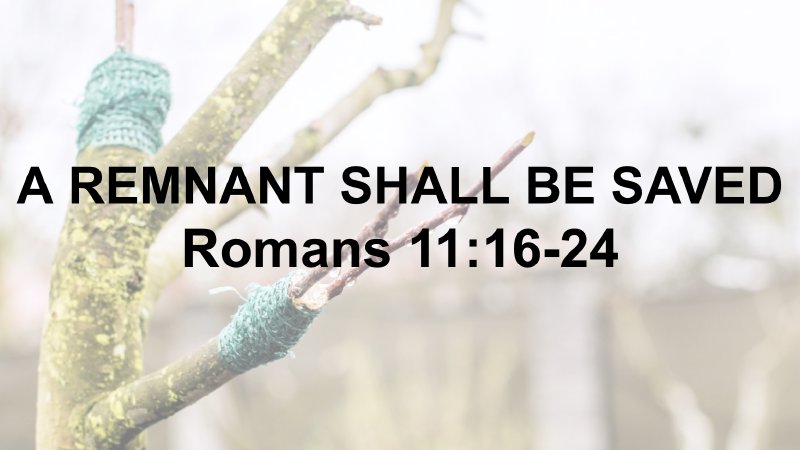 Bible Study: A Remnant Shall Be Saved | Bible Way Church of Our Lord ...