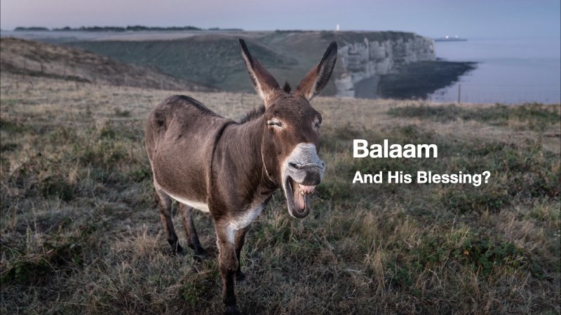 Balaam and his blessing? | Space Coast Church of Christ