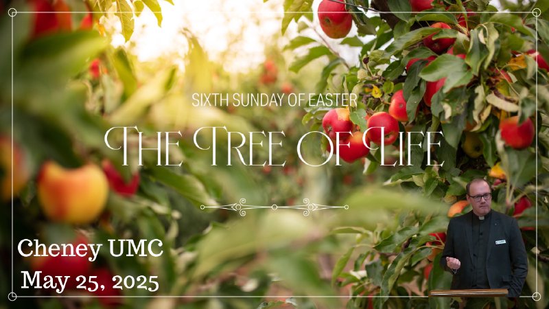 THE TREE OF LIFE | Pastor Damian Carruthers | May 25, 2025 | Cheney UMC