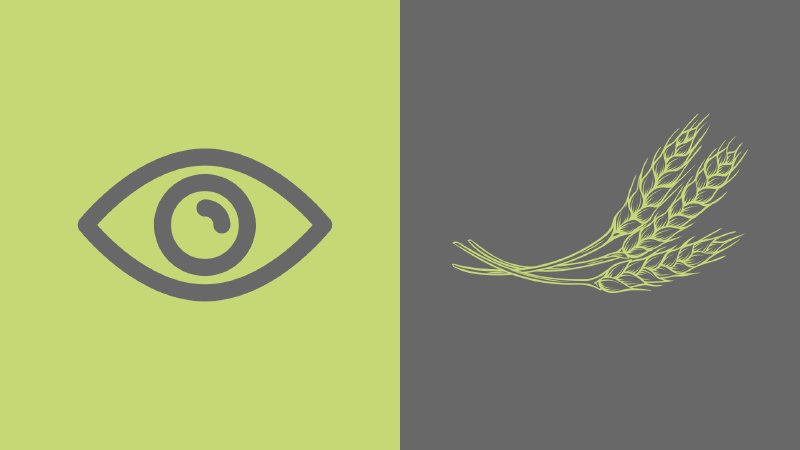 Vision 2025 - The Harvest | Northfield Church