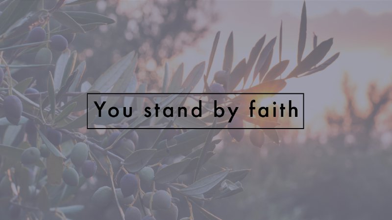 Romans 11:11-24 - Ingrafted Branches | Grace Community Church ...