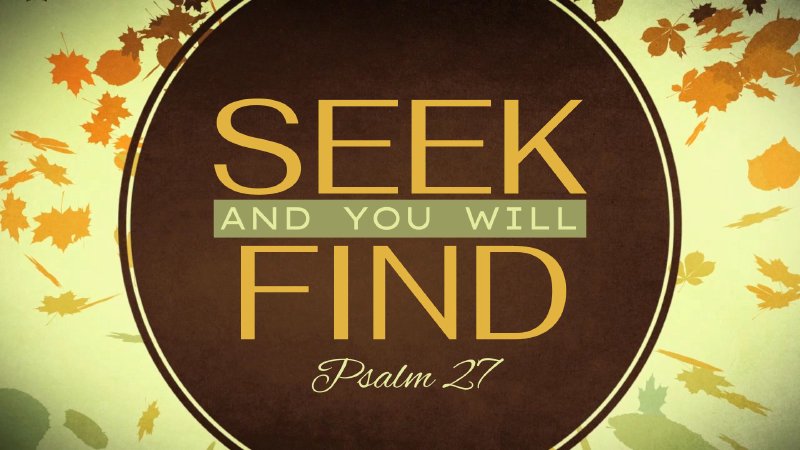 Seek and You Will Find | Walterboro First Baptist Church