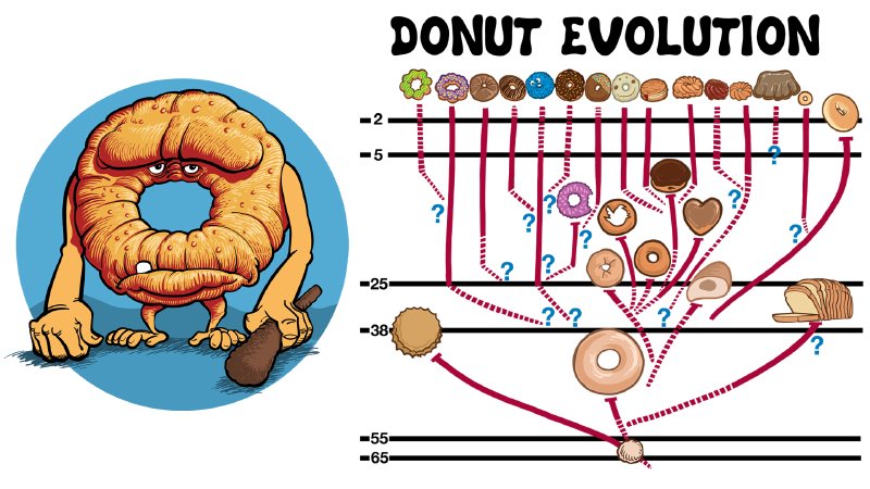 Donut Evolution Explanation! | Reasons for Hope