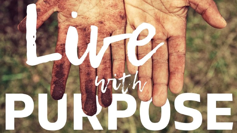 Live with Purpose | West Plains First Baptist