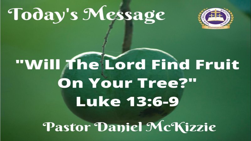 "Will the Lord Find Fruit On Your Tree?" | New Creation Baptist Church
