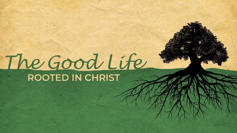 Rooted In Purpose | Hope Church