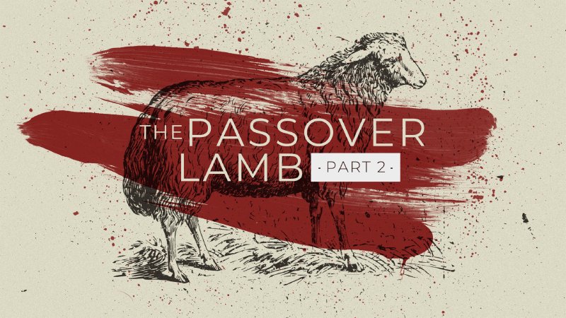 The Passover Lamb Part 2 | Restoration Seattle