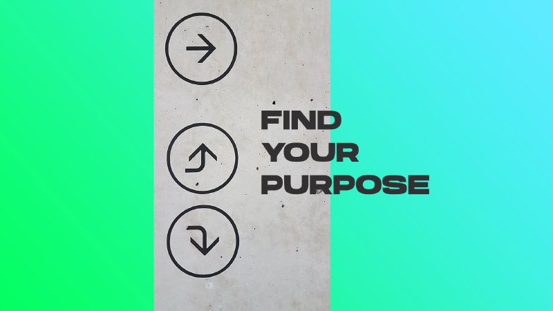 Find Your Pupose | Discover Life Church - Florida