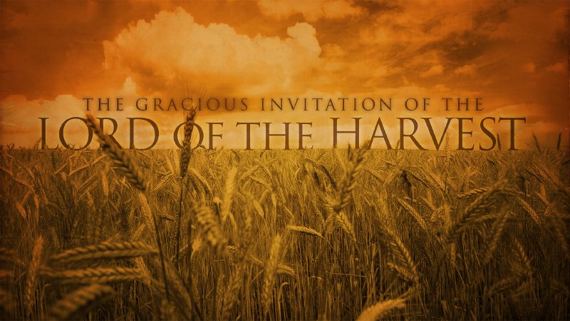 The Gracious Invitation of the Lord of the Harvest | Lewis Memorial ...