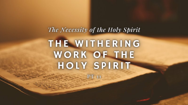 The Necessity of the Holy Spirit – Pt 11 The Withering Work of the Holy ...