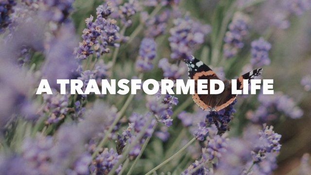 A Transformed Life | North Central Church - Texas