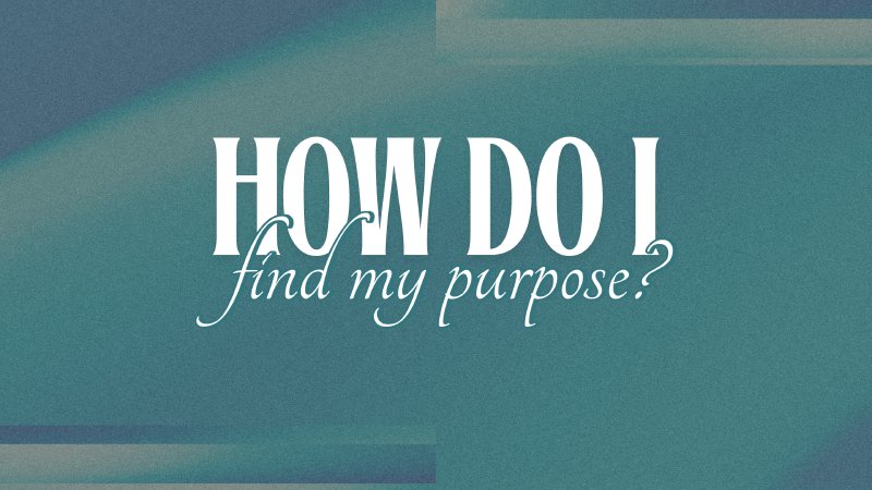 How Do I Find My Purpose? | Metro Harvest Church