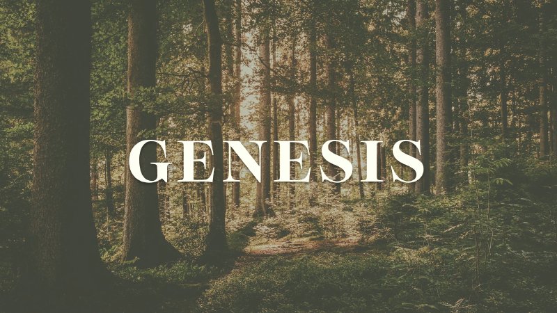 Genesis | Oak Grove Baptist Church