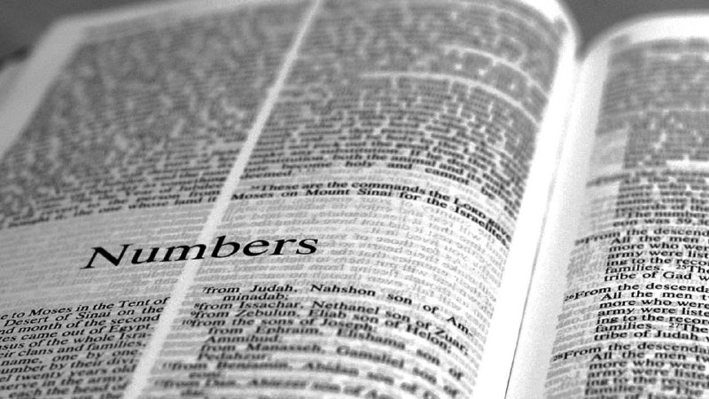 Numbers Chapter 1 Part 2 | My Bible Study