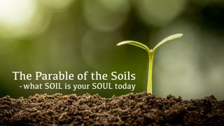 What Soil Is Your Soul Today? | Palmyra Grace Church